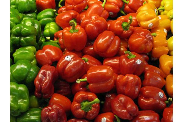 Recette de Thiof surprise ou thiof koumpa - Jumbo